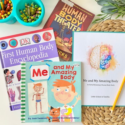 Me and My Amazing Body - Little School of Smiths