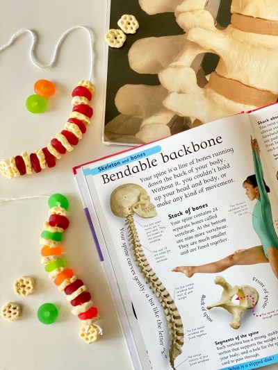 Me and My Amazing Body - Little School of Smiths