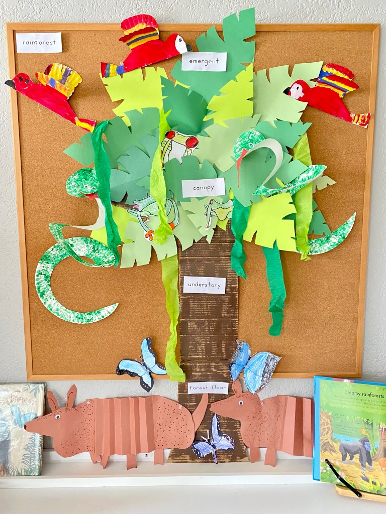 Around the World: Brazil Unit Study & Rainforest Biome - Little School ...